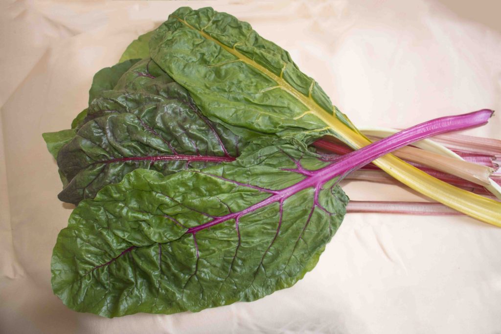 Swiss Chard – My MN Farmer